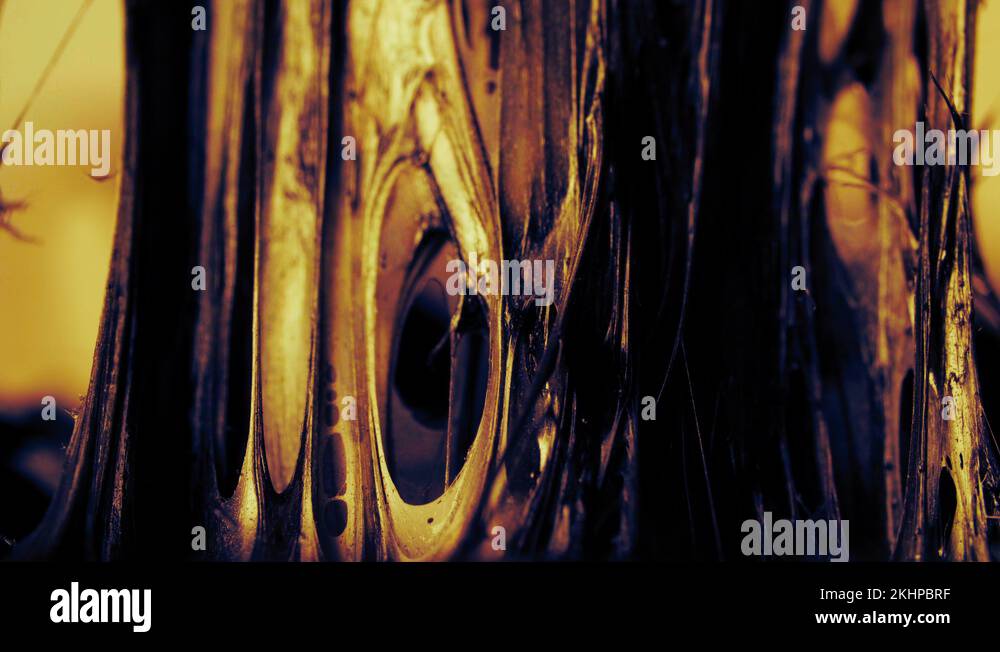 Stretching and rupture of ligaments and tendons during prolonged muscle ...