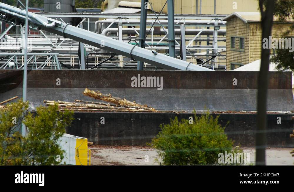 Pulp mill logging pulp Stock Videos & Footage - HD and 4K Video Clips ...