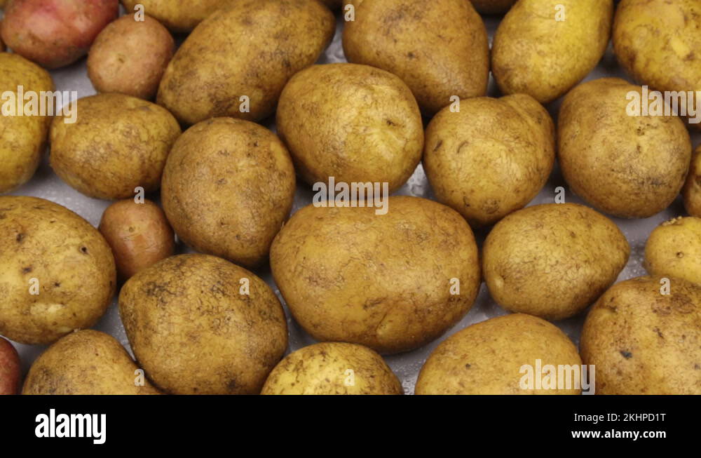 Rotation, a heap of ripe potato. Falling water drops. Texture of ...
