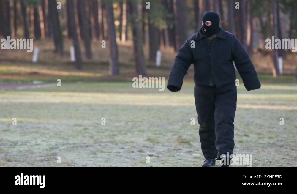 Aggressive dog man Stock Videos & Footage - HD and 4K Video Clips - Alamy