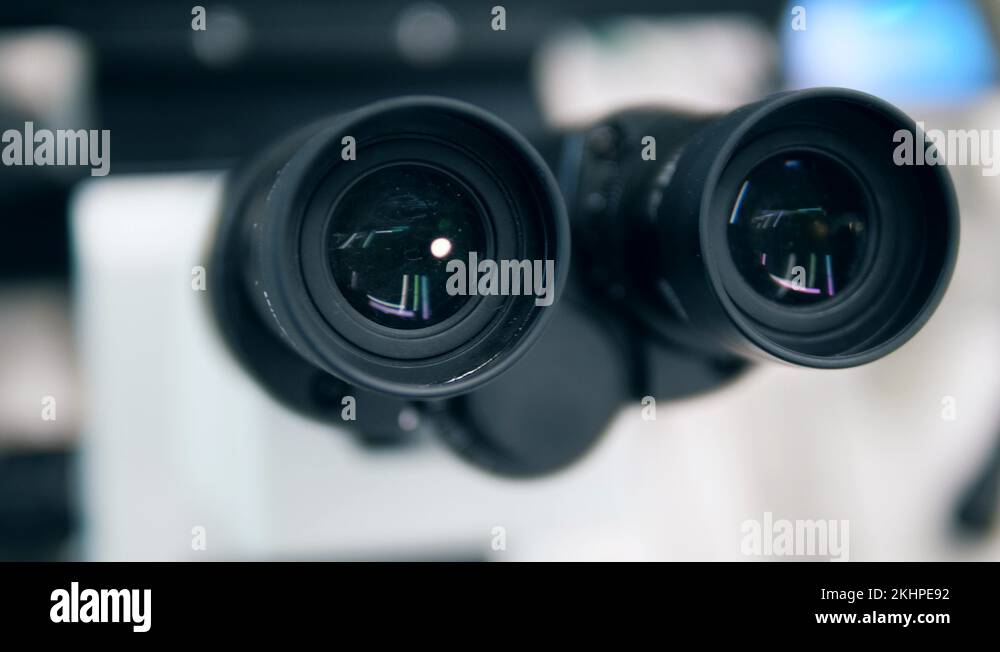 Micromanipulator Stock Videos & Footage - HD and 4K Video Clips - Alamy