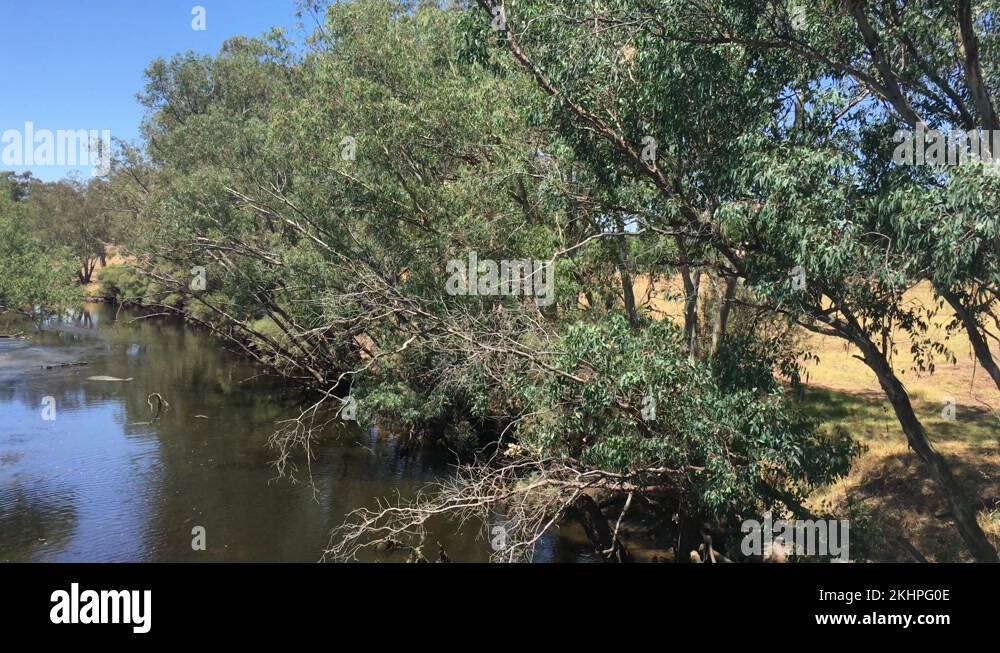 Swan valley tourism Stock Videos & Footage - HD and 4K Video Clips - Alamy
