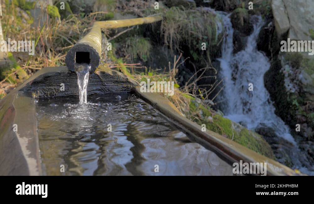 Medio y Stock Videos & Footage - HD and 4K Video Clips - Alamy
