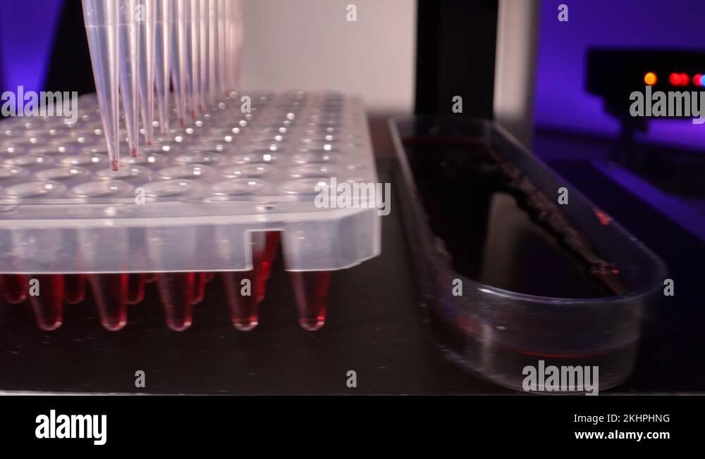 Automated DNA Processor real-time PCR cycler. PCR robotic machine for ...