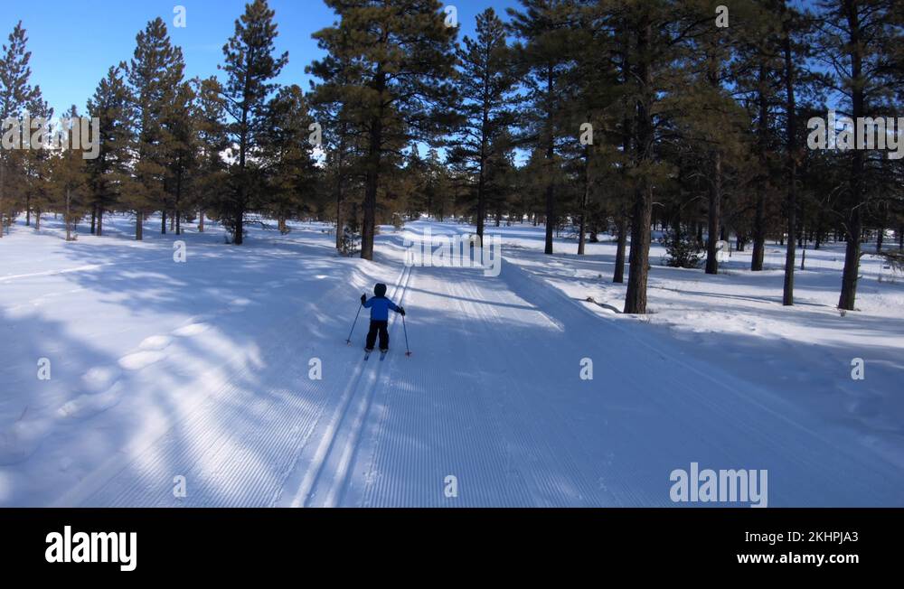 Boy pines Stock Videos & Footage - HD and 4K Video Clips - Alamy