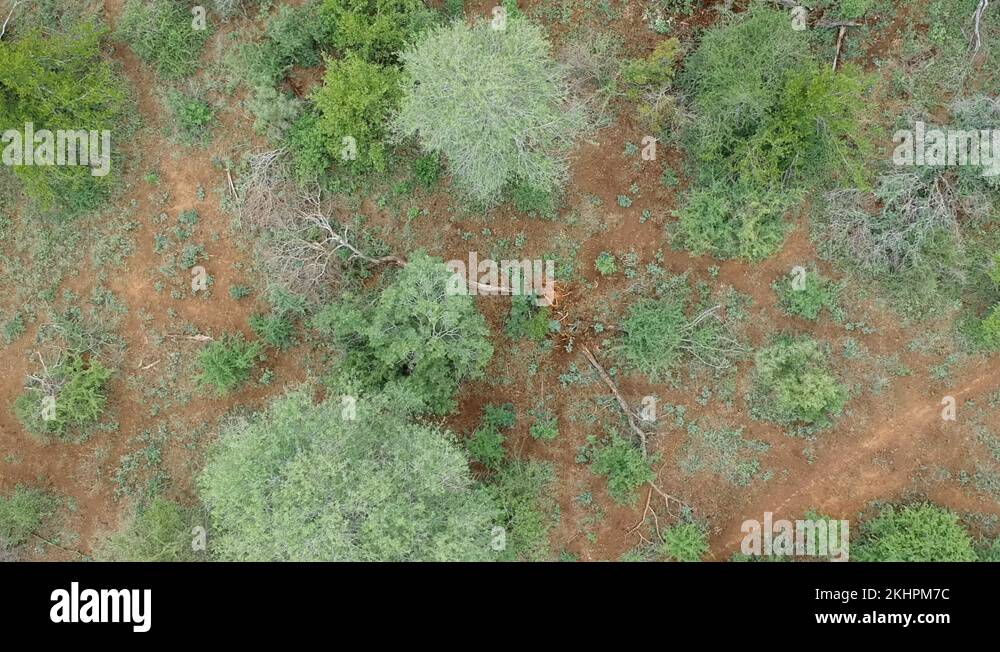 African terrain Stock Videos & Footage - HD and 4K Video Clips - Alamy