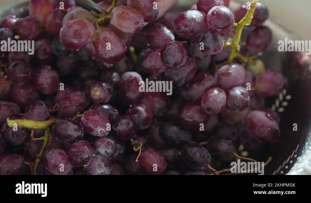 Washing red seedless grapes in stainless steel colander Stock Video ...