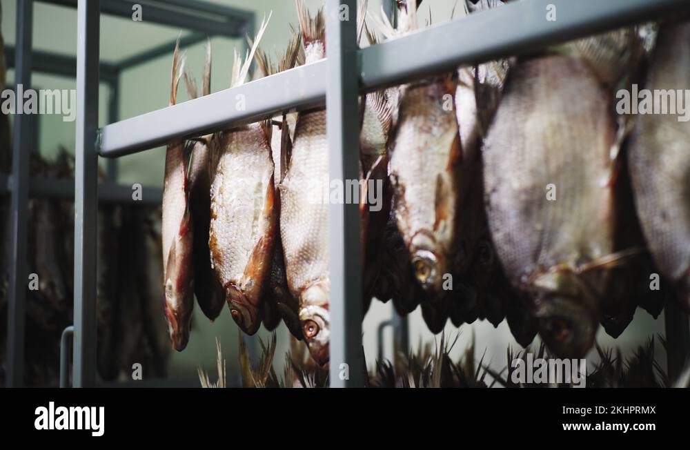 Dry fish rack Stock Videos & Footage - HD and 4K Video Clips - Alamy