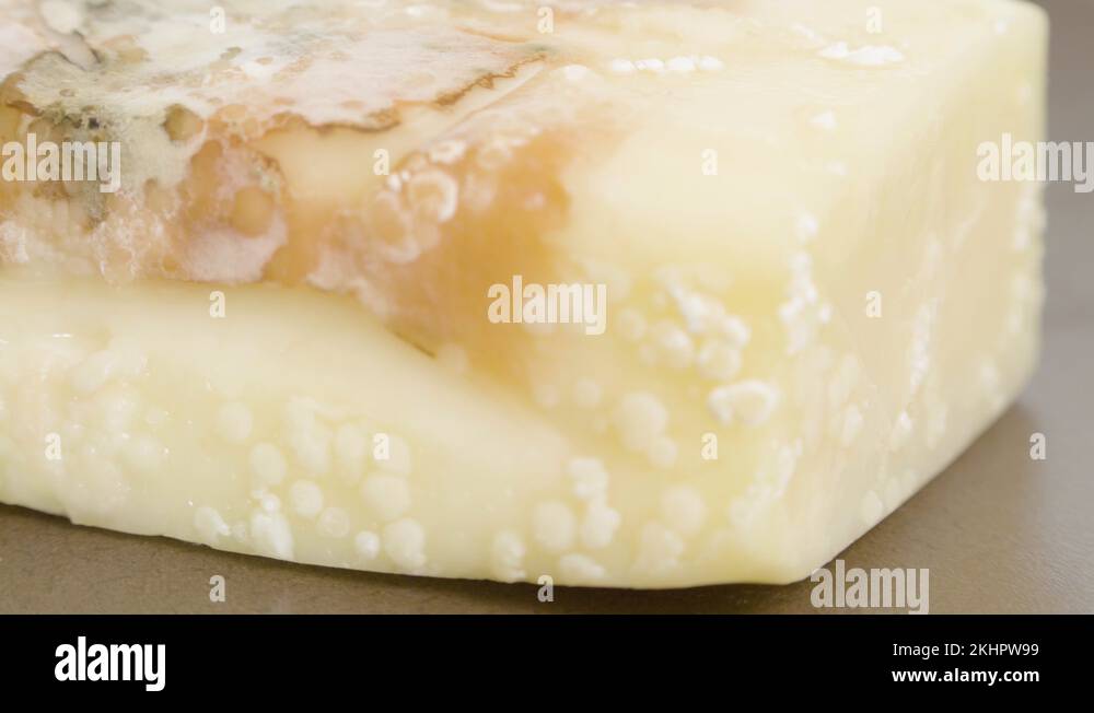Mold on cheese Stock Videos & Footage - HD and 4K Video Clips - Alamy