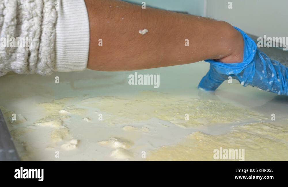 Female Worker Skimming The Cream Off Milk at Dairy Plant - Video ...