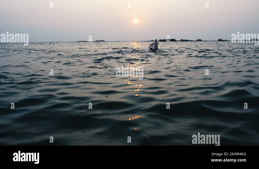 Open swimmer woman Stock Videos & Footage - HD and 4K Video Clips - Alamy