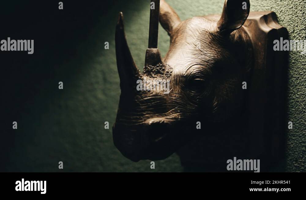 Hanging rhinoceros Stock Videos & Footage - HD and 4K Video Clips - Alamy