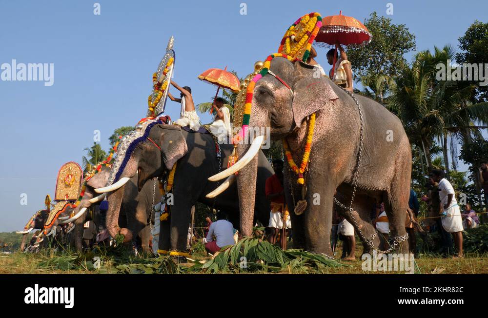 Pooram kerala Stock Videos & Footage - HD and 4K Video Clips - Alamy