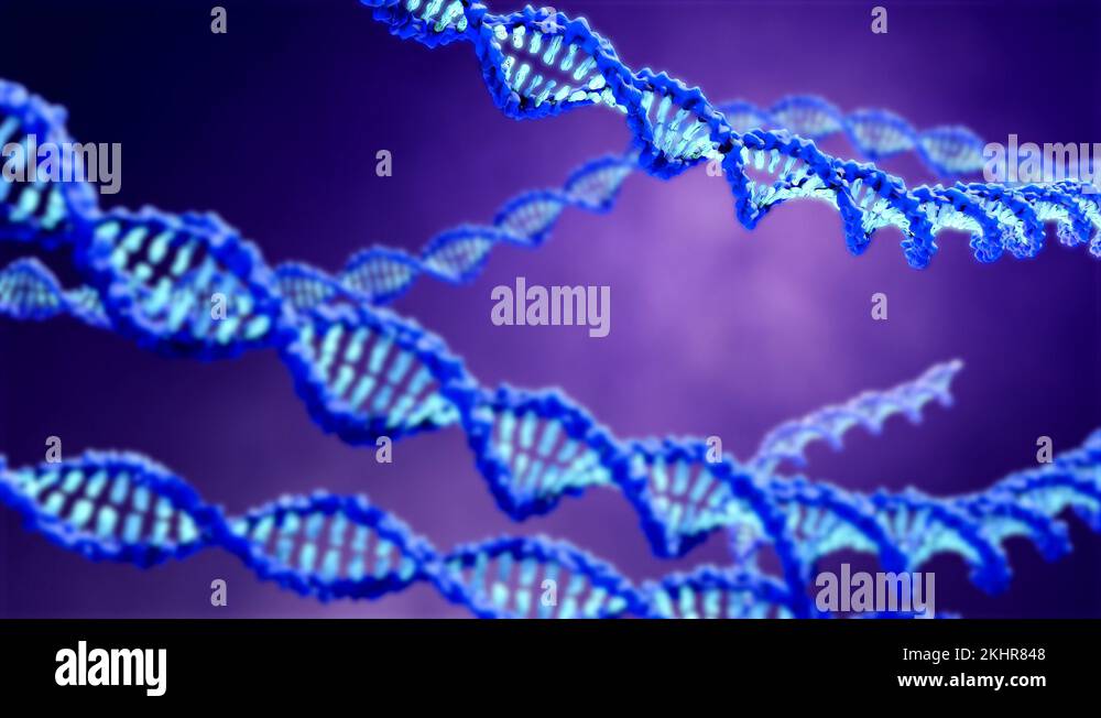 Crispr cas9 dna Stock Videos & Footage - HD and 4K Video Clips - Alamy