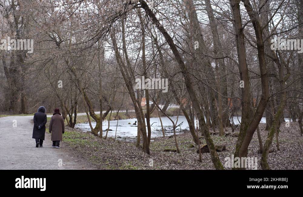 Two old women walking together talking calmly in winter cold park ...