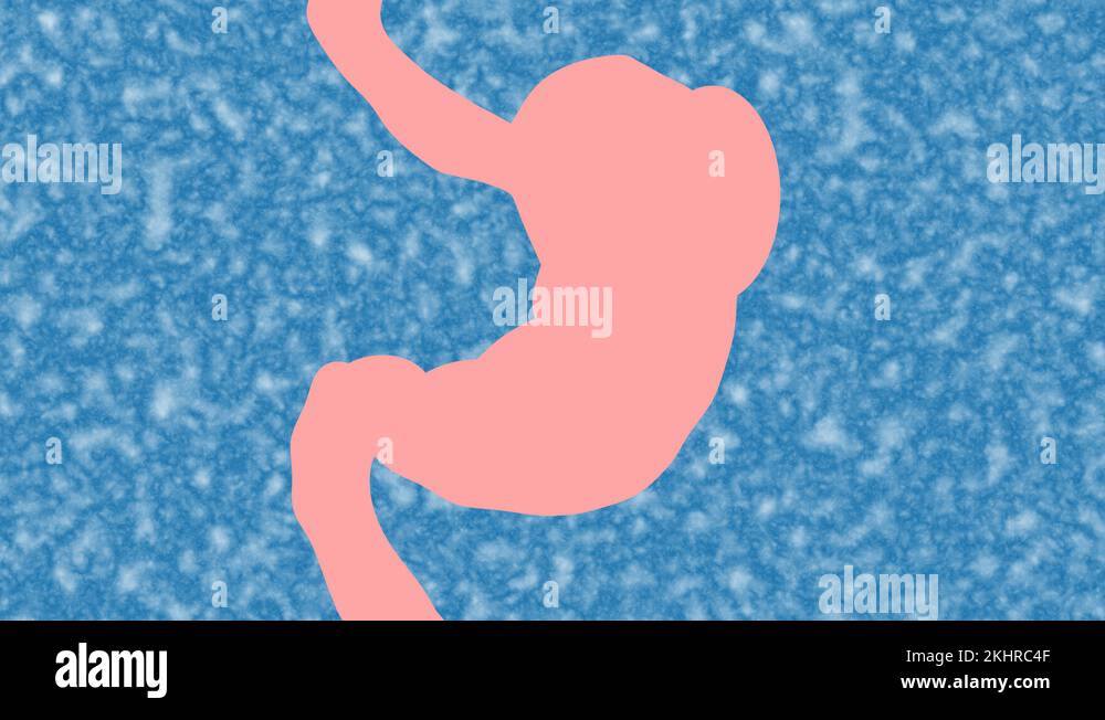 Cartoon stomach animated with movement. Stomach pain Stock Video ...