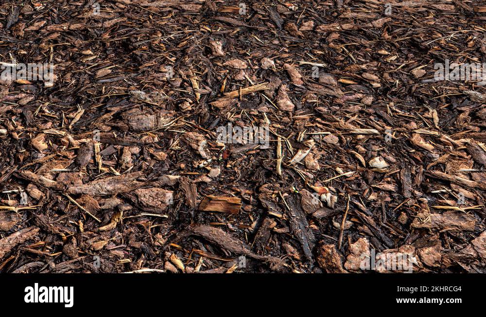 Bark chippings mulch Stock Videos & Footage - HD and 4K Video Clips - Alamy