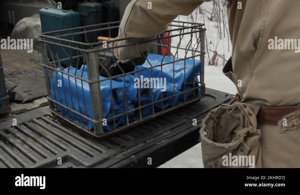 Sap collection Stock Videos & Footage - HD and 4K Video Clips - Alamy