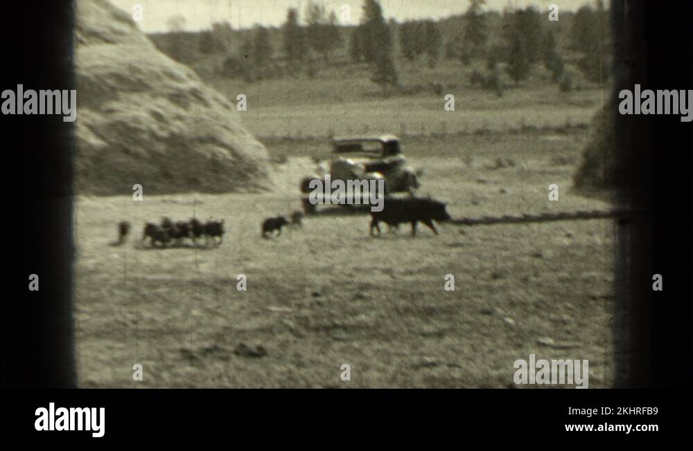 BEND OREGON-1937: Old School Video Of A Farm Animals And A Nice Car ...