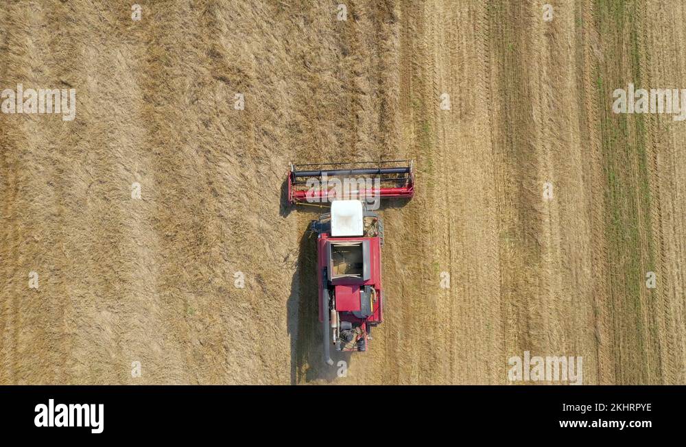 Combine harvester collect wheat grain Stock Videos & Footage - HD and ...