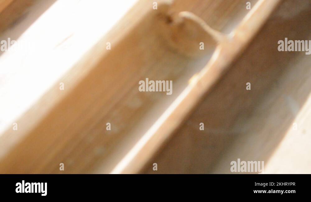 Crane buffer Stock Videos & Footage - HD and 4K Video Clips - Alamy