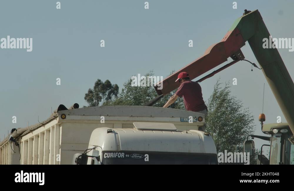 Loading wheat into truck Stock Videos & Footage - HD and 4K Video Clips ...