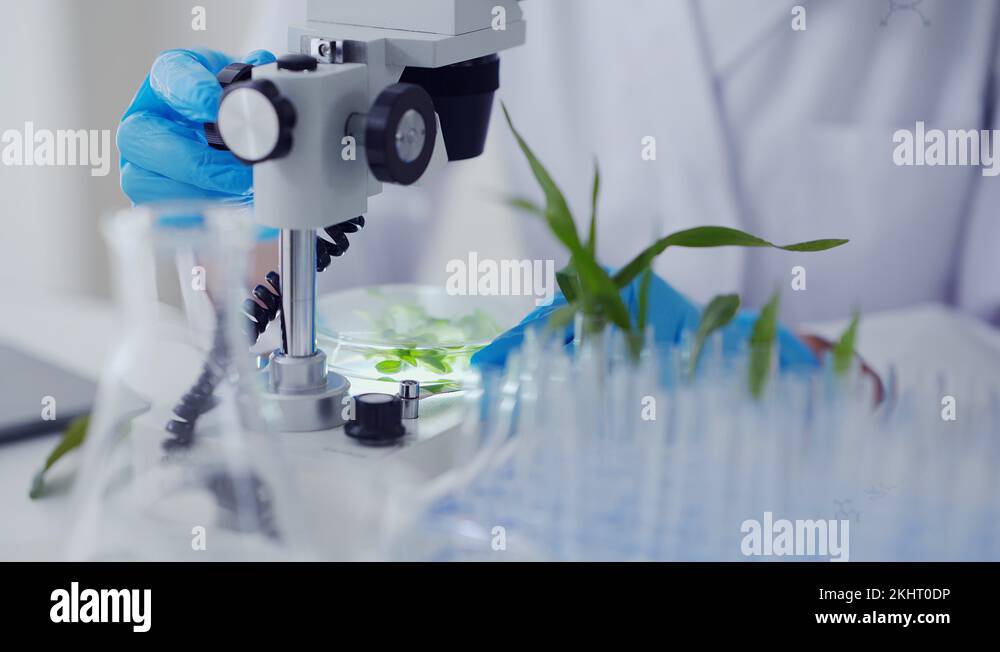 Nutritional analysis Stock Videos & Footage - HD and 4K Video Clips - Alamy