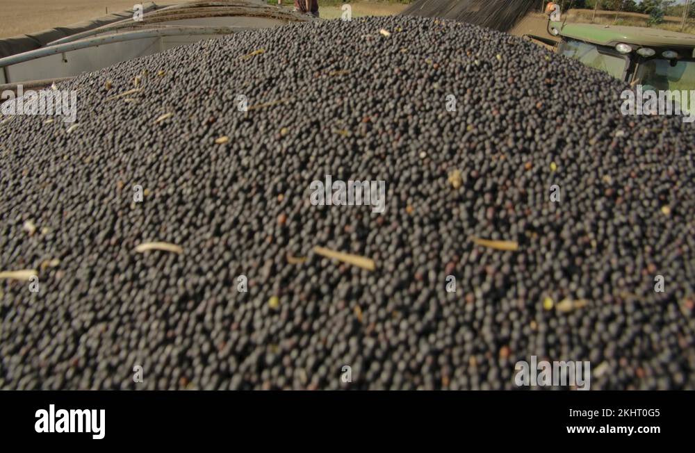 Truck unloading Stock Videos & Footage - HD and 4K Video Clips - Alamy