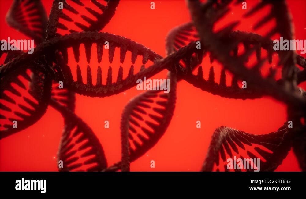 Structure Of The Dna Double Helix Animation Stock Video Footage Alamy