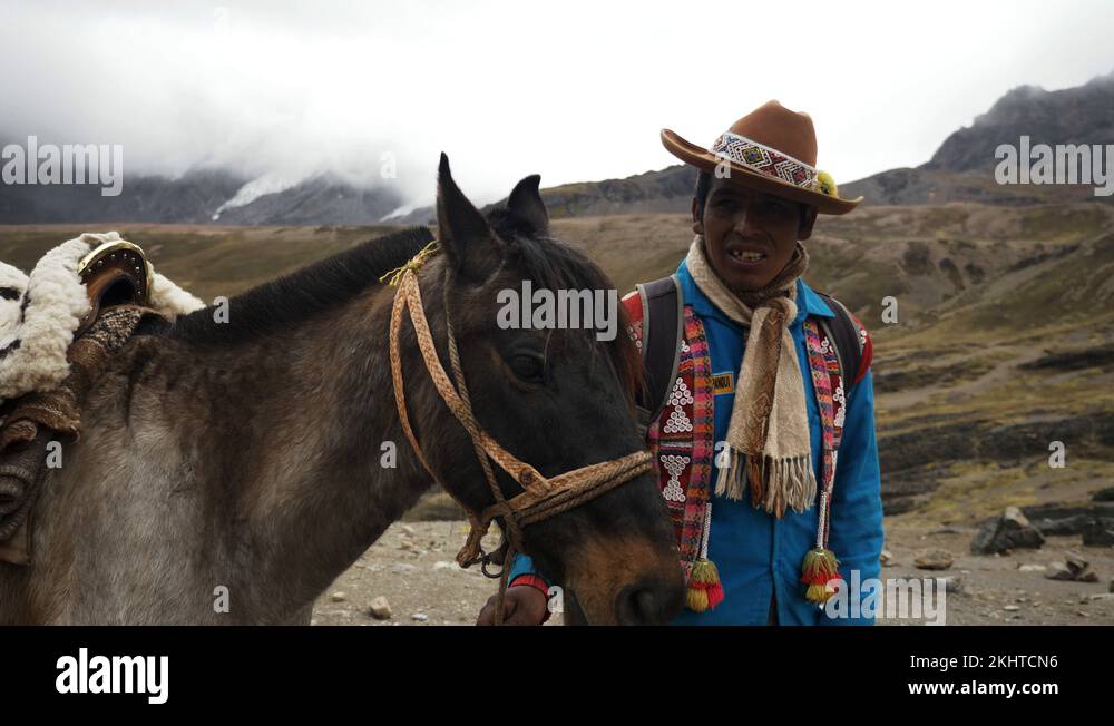Peruvian horses Stock Videos & Footage - HD and 4K Video Clips - Alamy