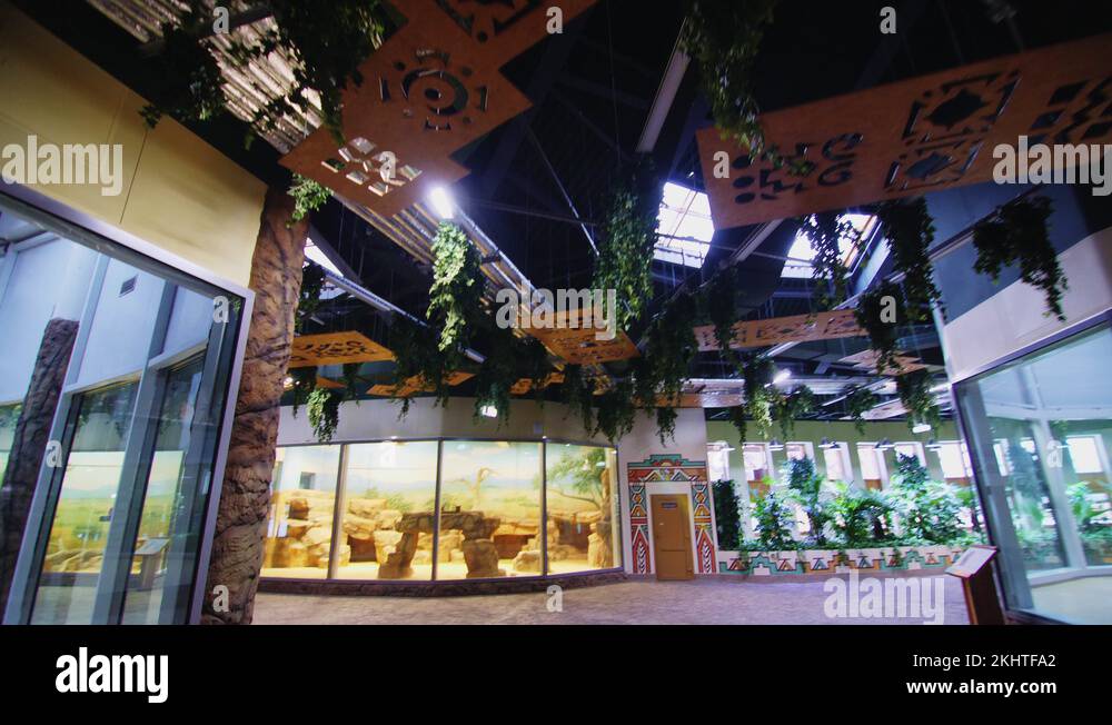 Zoo entertainment Stock Videos & Footage - HD and 4K Video Clips - Alamy