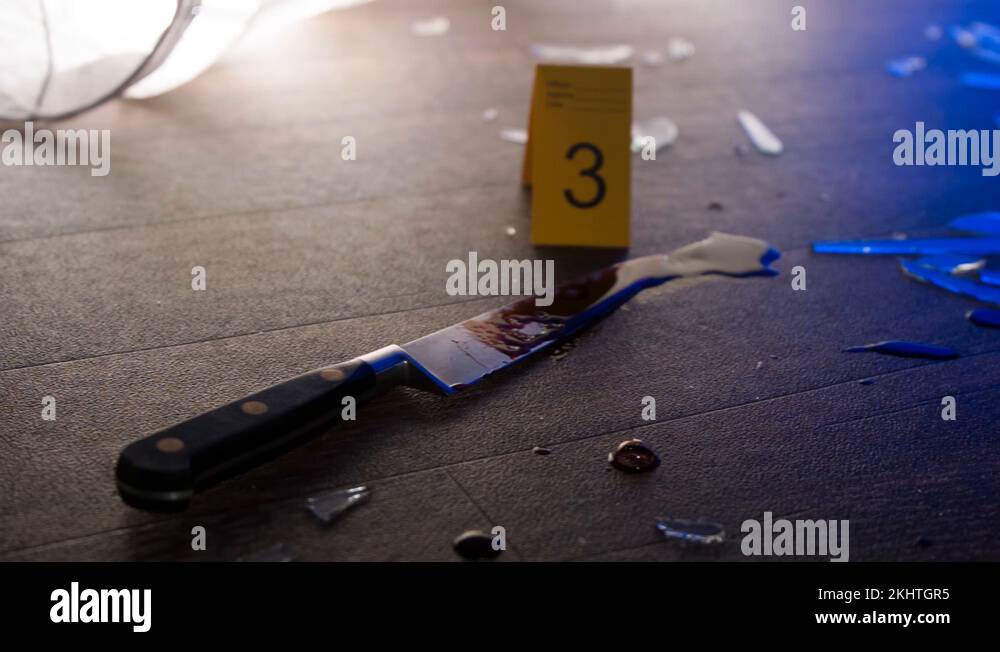 CSI Crime Scene Series - Burglary, Homicide, Murder - Forensics and ...