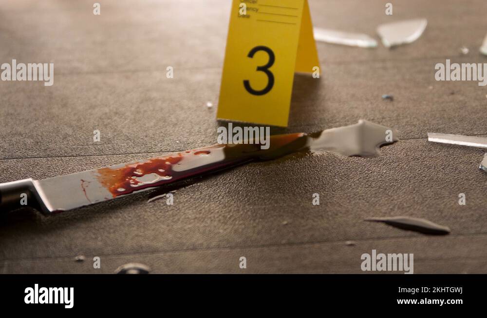 CSI Crime Scene Series - Burglary, Homicide, Murder - Forensics and ...