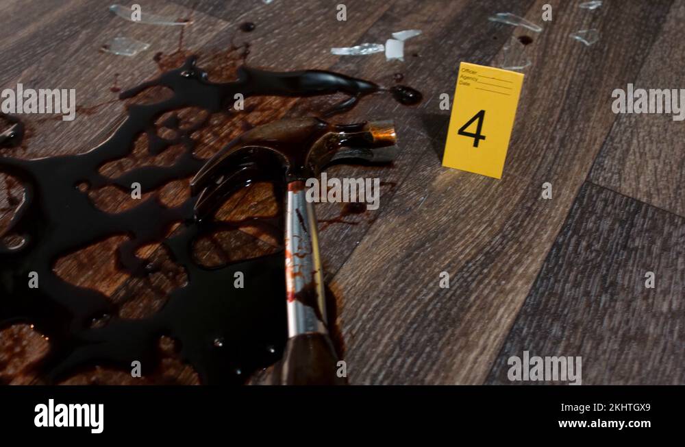 CSI Crime Scene Series - Burglary, Homicide, Murder - Forensics and ...