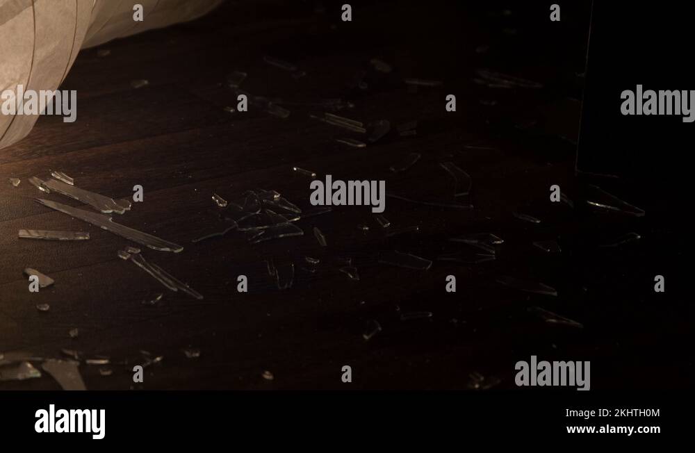 CSI Crime Scene Series - Burglary, Homicide, Murder - Forensics and ...