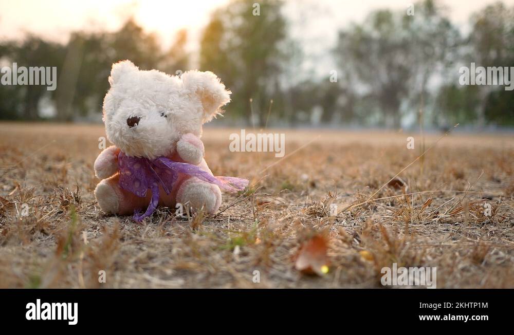 Teddy bear on ground Stock Videos & Footage - HD and 4K Video Clips - Alamy