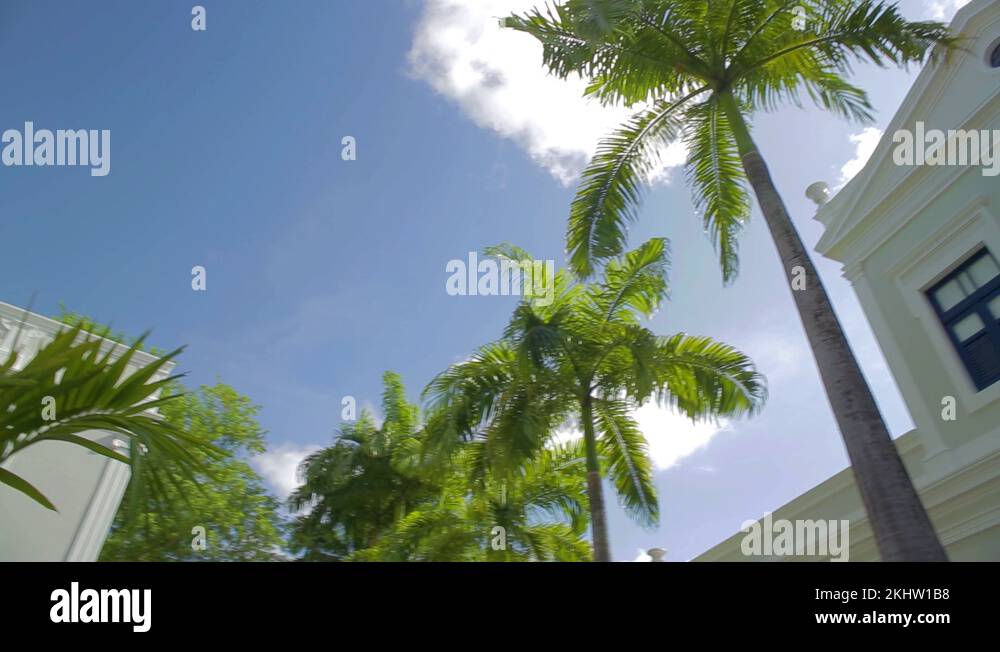 Victorian palm house Stock Videos & Footage - HD and 4K Video Clips - Alamy