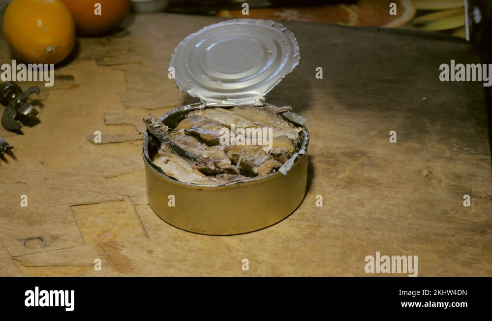 Social fish Stock Videos & Footage - HD and 4K Video Clips - Alamy