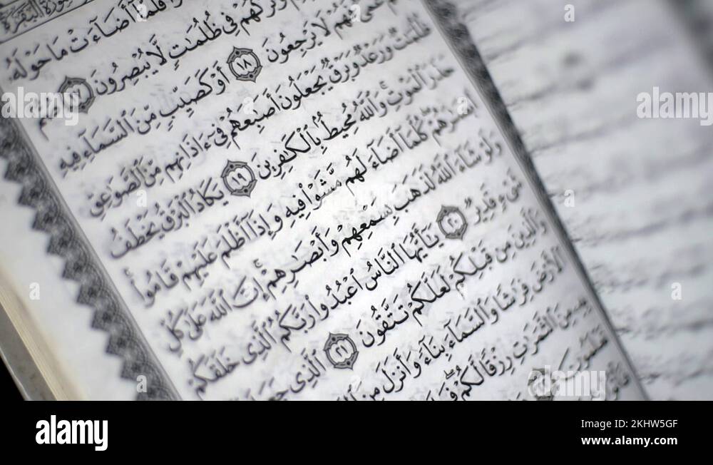 Hands turning the pages of the Quran reading surah Al-Baqarah, on black ...