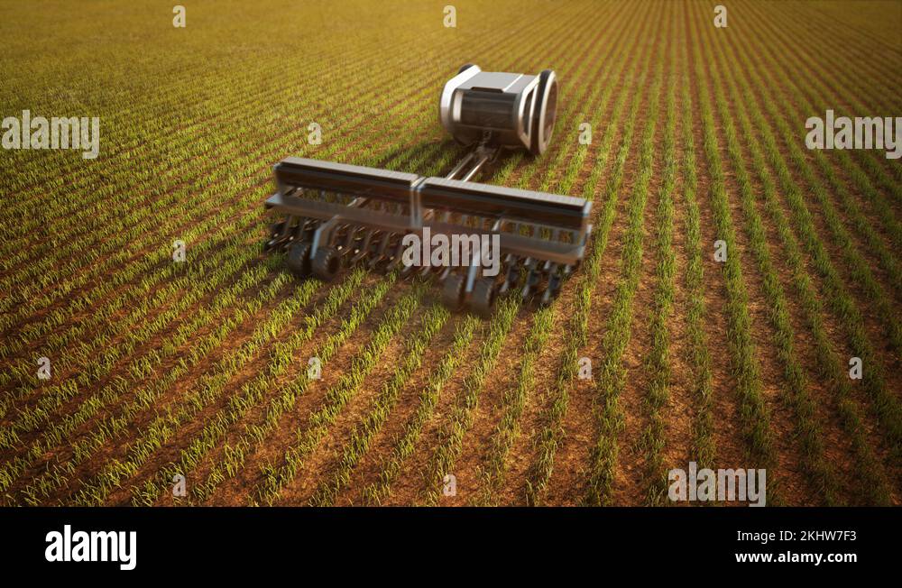 Autonomous tillage harvester tractor in farm field, future agriculture ...