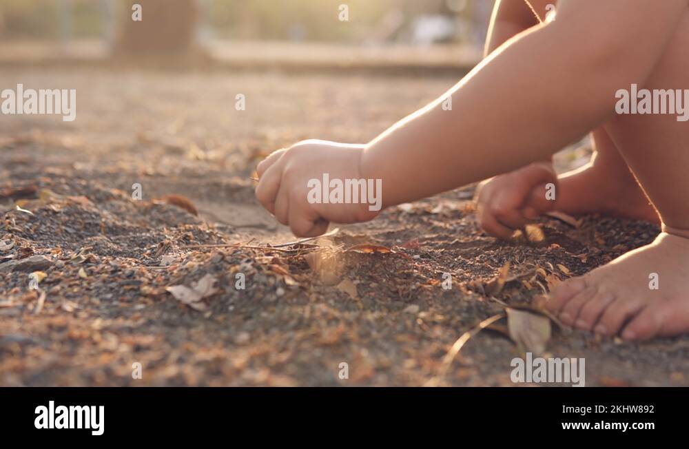 Close up video of little kids hands grabbing and playing with dirt in ...