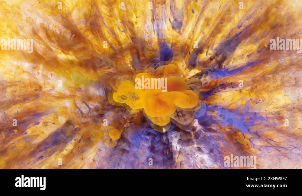 Paint splatter vector Stock Videos & Footage - HD and 4K Video Clips ...