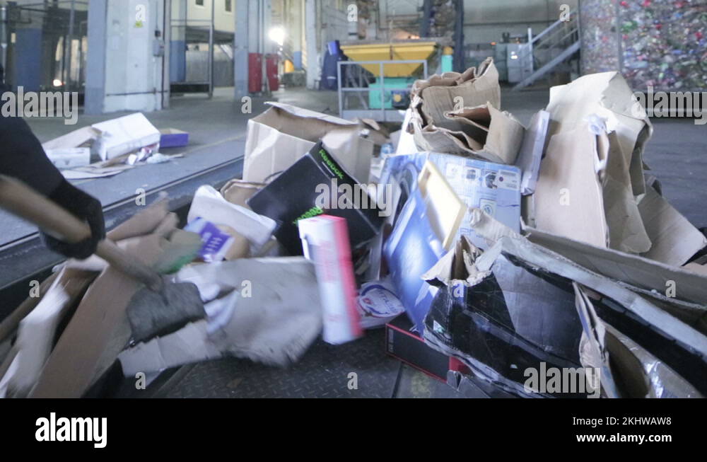 Paper on the sorting conveyor. Waste sorting. Recycling waste Stock ...