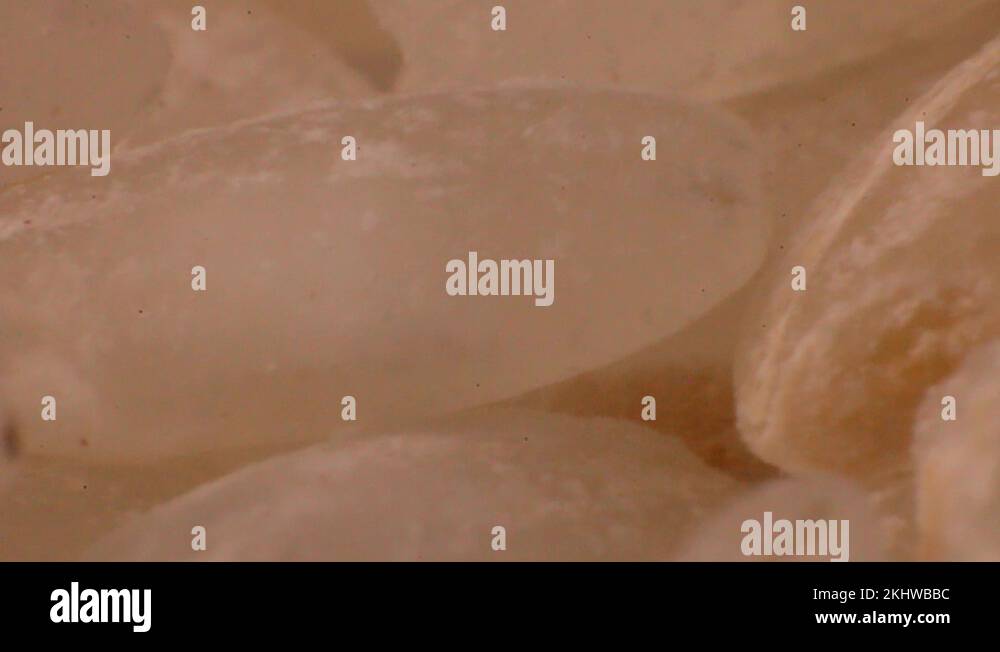 Grain details Stock Videos & Footage - HD and 4K Video Clips - Alamy