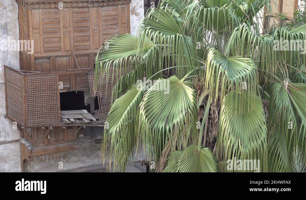 Palm tree and historic merchant house old town Jeddah Saudi Arabia ...