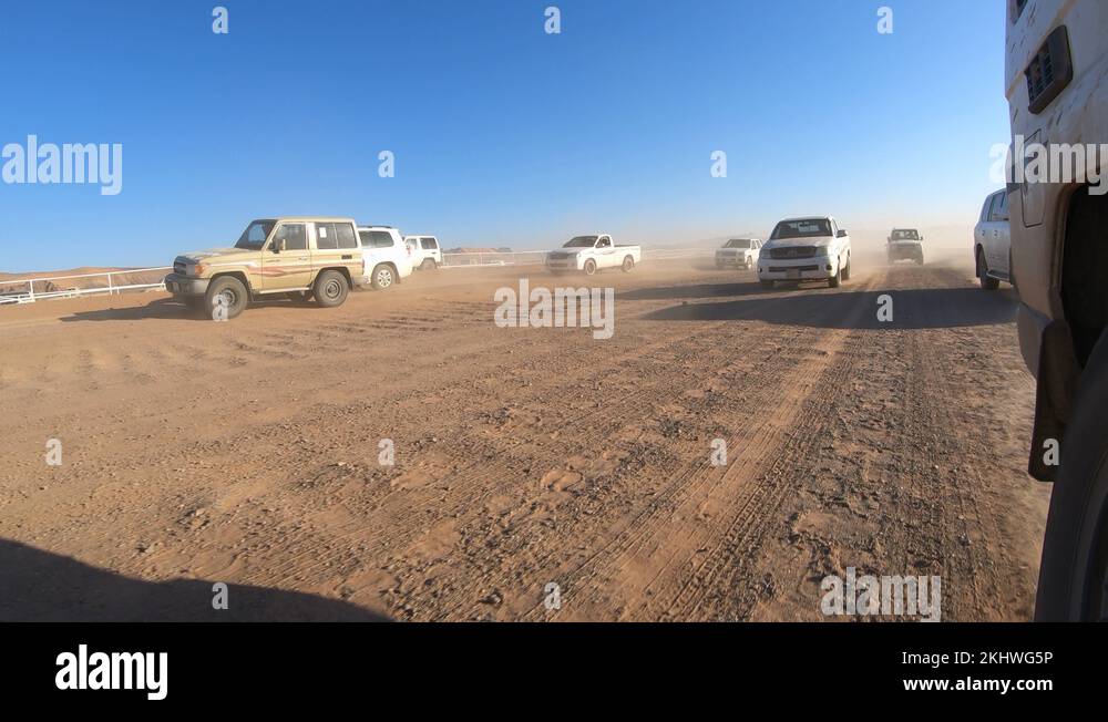 Camel race track Stock Videos & Footage - HD and 4K Video Clips - Alamy