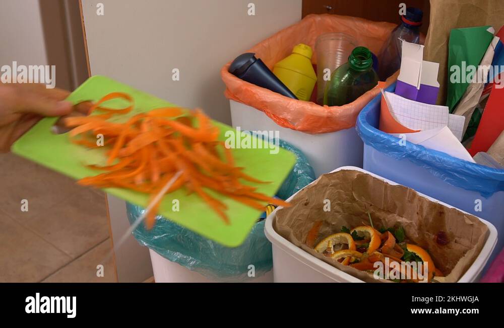 Food management system Stock Videos & Footage - HD and 4K Video Clips ...