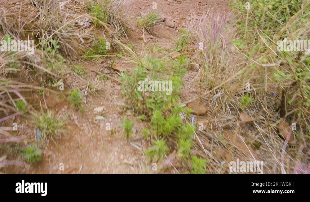 Forward High Angle Side View Reveal Top Bete Giyorgis Church Lalibela ...