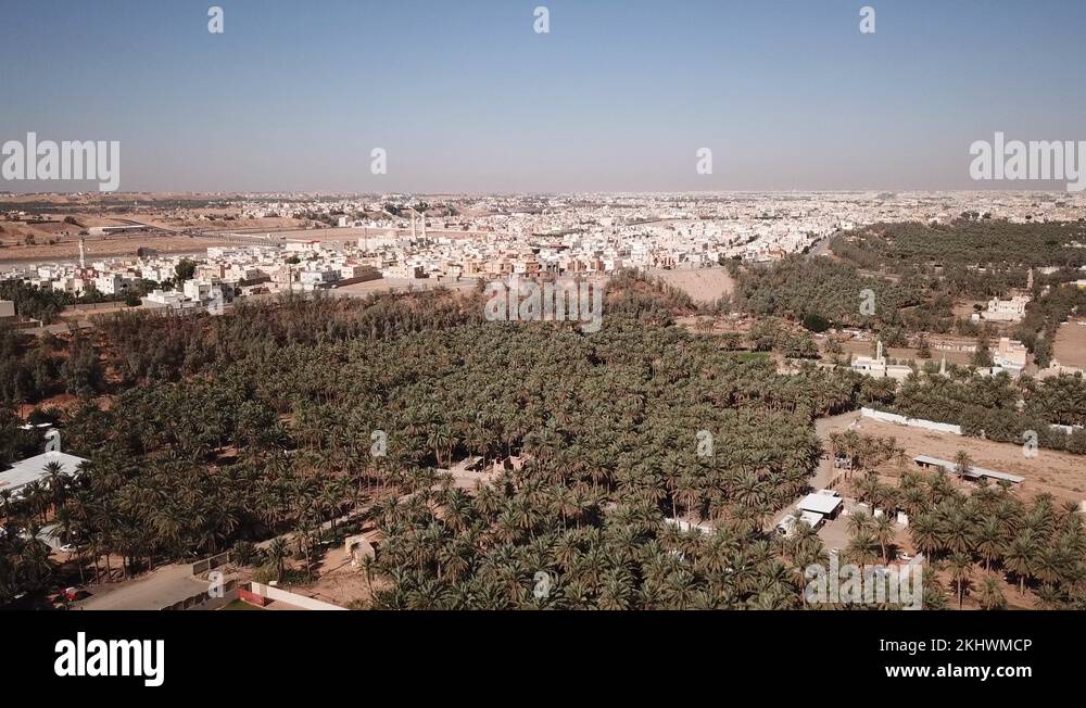 Saudi arabia trees Stock Videos & Footage - HD and 4K Video Clips - Alamy