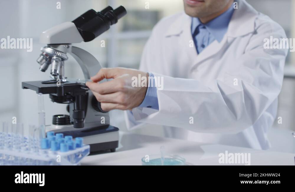 Microbiologist microscope Stock Videos & Footage - HD and 4K Video ...